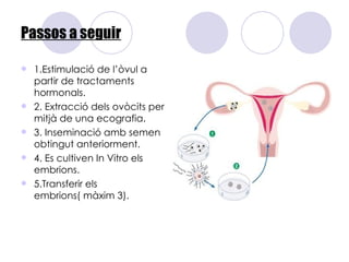 Fecundació in vitro | PPT