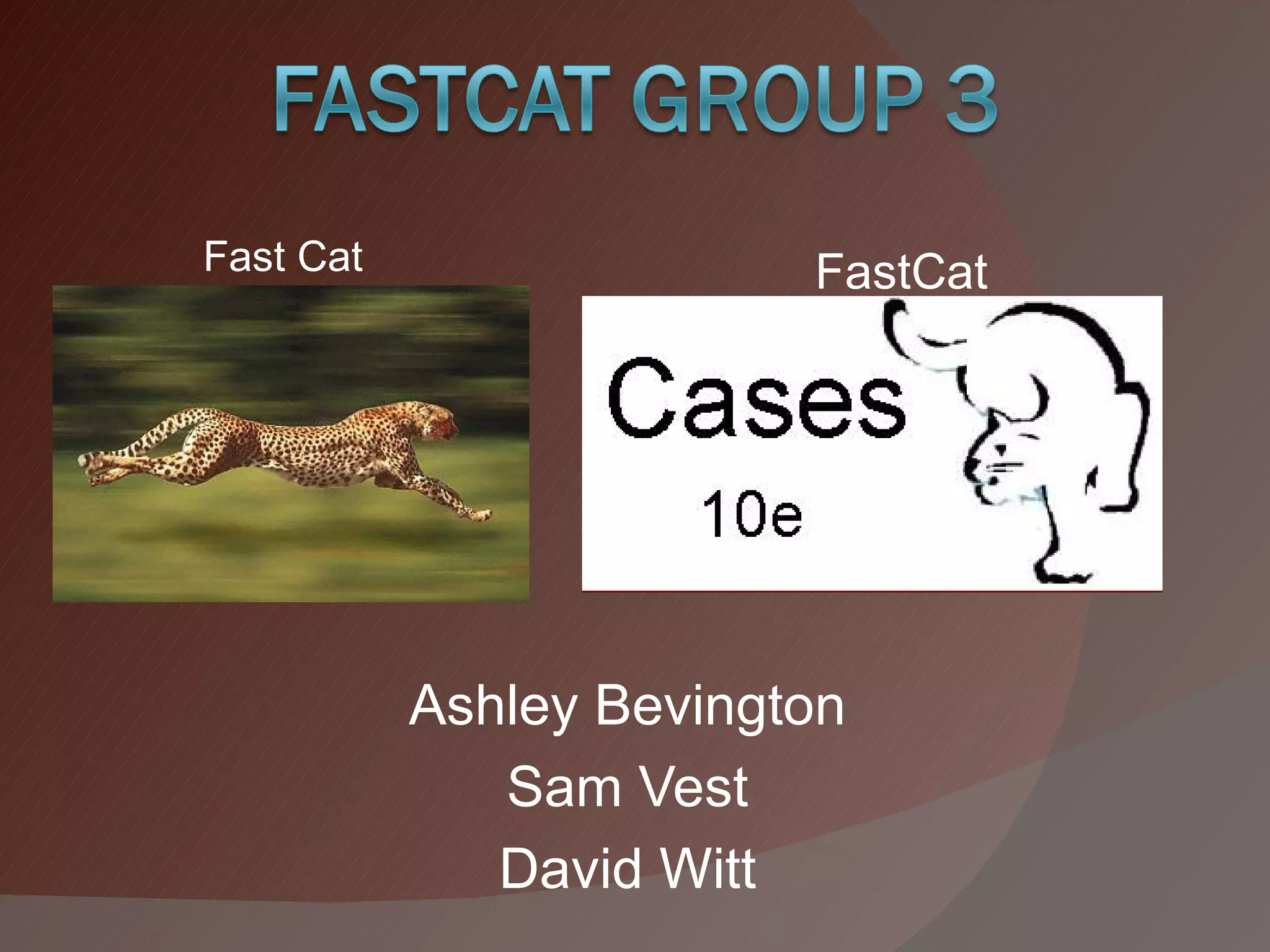FastCat Compensation System | PPT