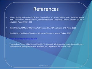 FEM Optimization Project | PPT