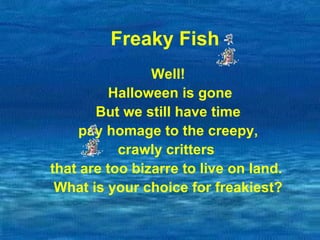 Freaky Fish Top 20 | PPS