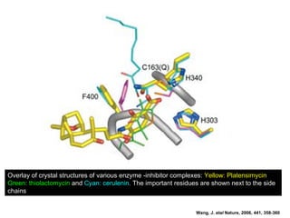 Platensimycin - A Selective Fab F Inhibitor | PPT | Chemistry | Science