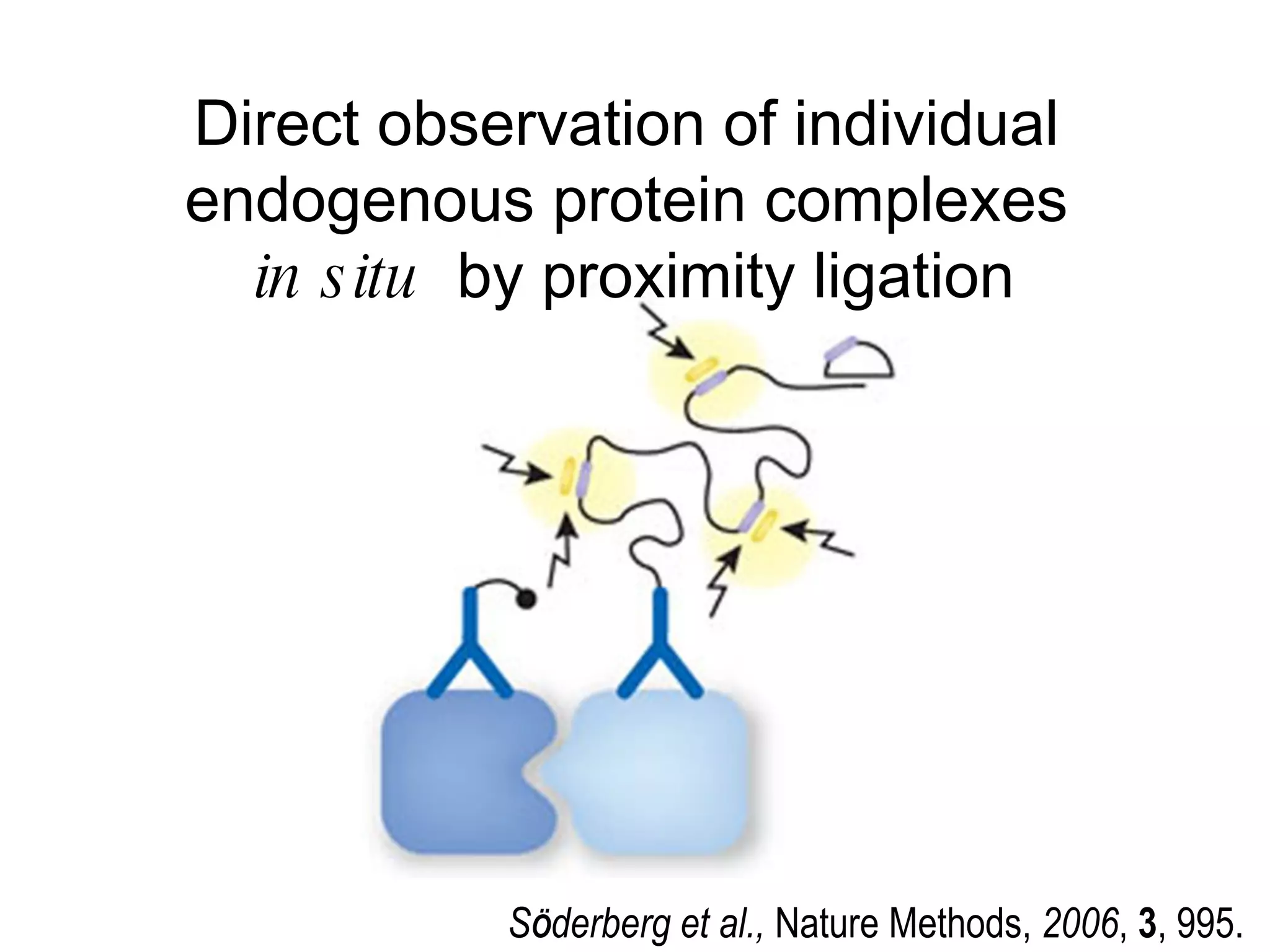 Proximity Ligation And Rca Ppt