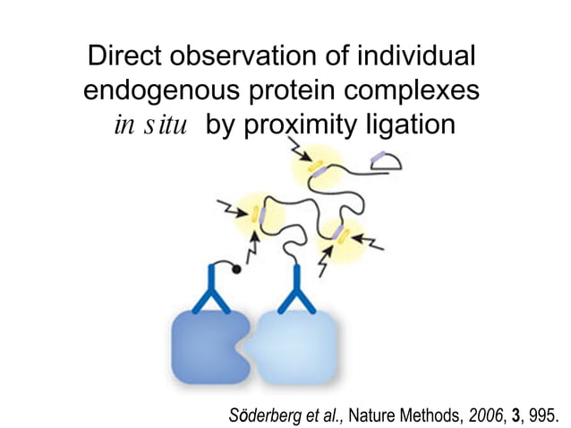 Proximity Ligation And RCA | PPT