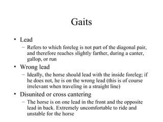 Gaits And Movement | PPT