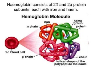 Bio 10 - Genetics Mutations | PPT