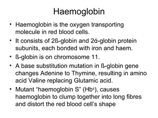 Bio 10 - Genetics Mutations | PPT