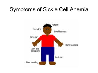 Bio 10 - Genetics Mutations | PPT