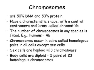 Bio 10 - Genetics Mutations | PPT