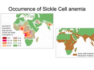 Bio 10 - Genetics Mutations | PPT