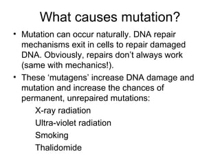 Bio 10 - Genetics Mutations | PPT