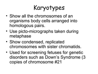 Bio 10 - Genetics Mutations | PPT