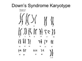 Bio 10 - Genetics Mutations | PPT
