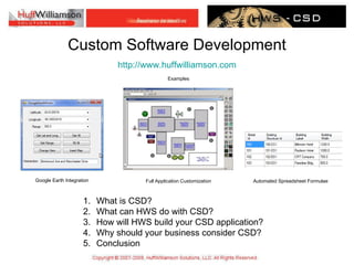 Hws Custom Software Presentation01 | PPT