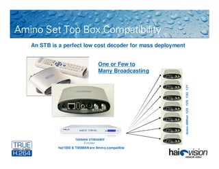 Hai Vision Corporate Overview | PPT