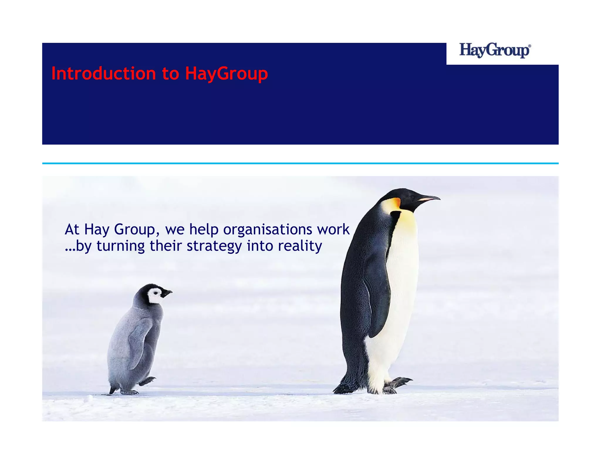 Hay Group | PDF