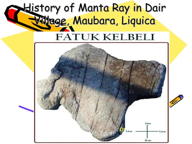 History Of Manta Ray | PPT