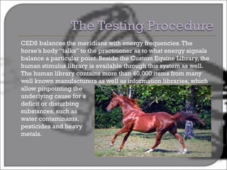 Horses Toxins | PPT