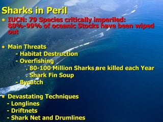 Fiji Shark Conservation and Awareness Project - International Year of ...