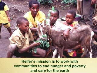 Introduction to Heifer | PPT