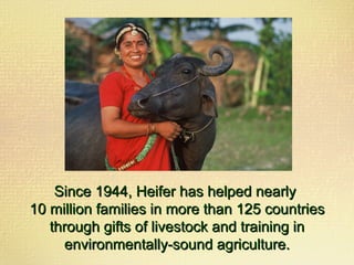 Introduction to Heifer | PPT