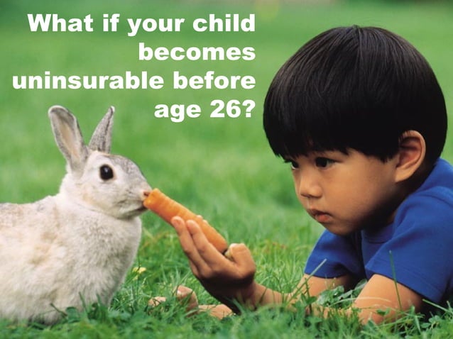 Jr Special Life Insurance Policy | PPT