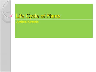 Life Cycle Of Plants | PPT