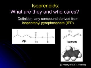 Isoprenoids | PPT