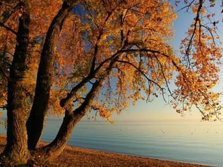 Louis Armstrong | PPT