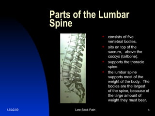 Low Back Pain and Chiropractic Care | PPT