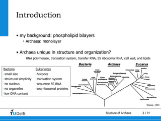 small overview on Archaea | PPT
