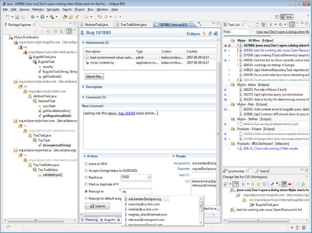 Managing Large Software Projects | PPS
