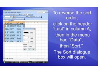 Microsoft Office Excel 2003 Sorting And Filtering | PPT