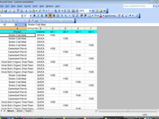 Microsoft Office Excel 2003 Sorting And Filtering | PPT