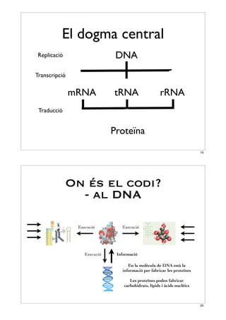 Modul 2 El Material Genetic | PDF