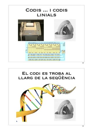 Modul 2 El Material Genetic | PDF