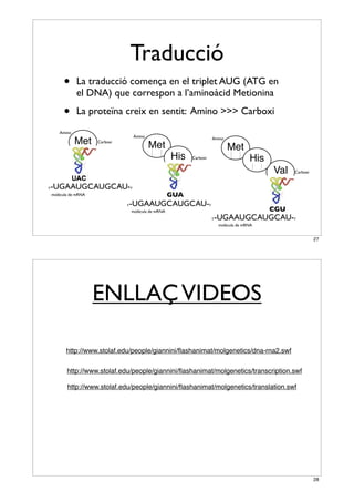 Modul 2 El Material Genetic | PDF