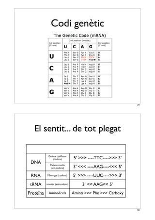 Modul 2 El Material Genetic | PDF