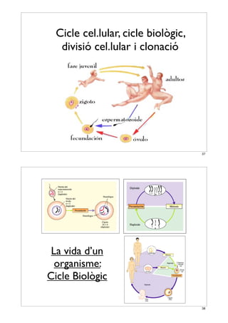 Modul 2 El Material Genetic | PDF