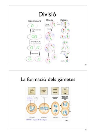 Modul 2 El Material Genetic | PDF