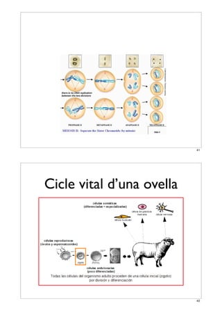 Modul 2 El Material Genetic | PDF