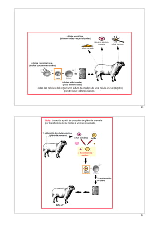 Modul 2 El Material Genetic | PDF