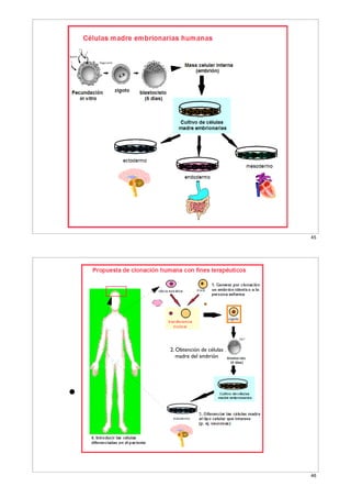 Modul 2 El Material Genetic | PDF