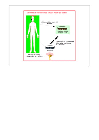 Modul 2 El Material Genetic | PDF