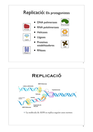 Modul 2 El Material Genetic | PDF
