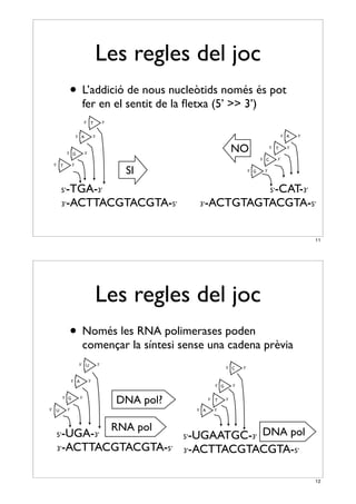 Modul 2 El Material Genetic | PDF