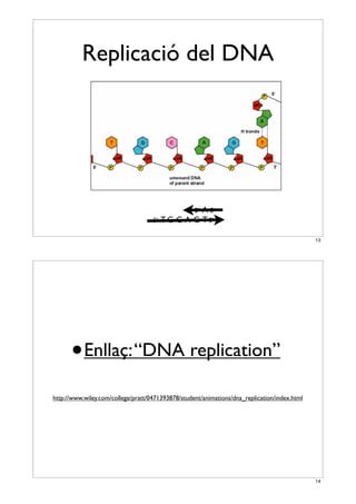 Modul 2 El Material Genetic | PDF
