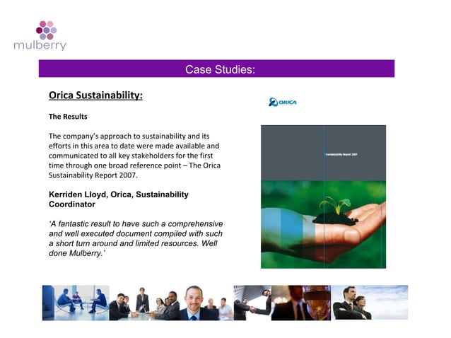 Mulberry Marketing Credentials | PPT | Marketing and Advertising | Business