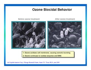 Ohio Awwa 2008 Ozone Drinking Water Treatment | PDF