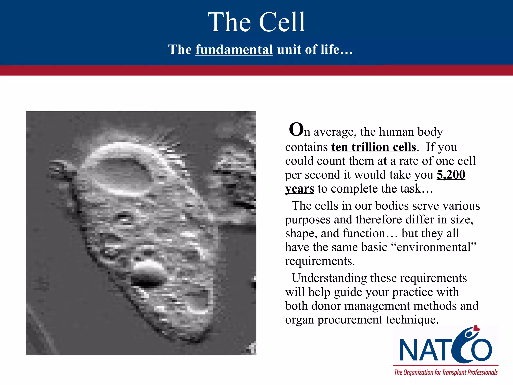 Organ Recovery & Preservation | PPT