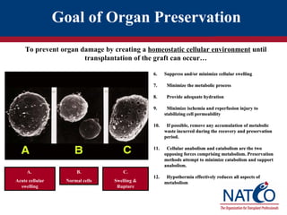 Organ Recovery & Preservation | PPT